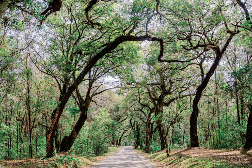 The Gorgeous Legare Waring House | Charleston Wedding Venues